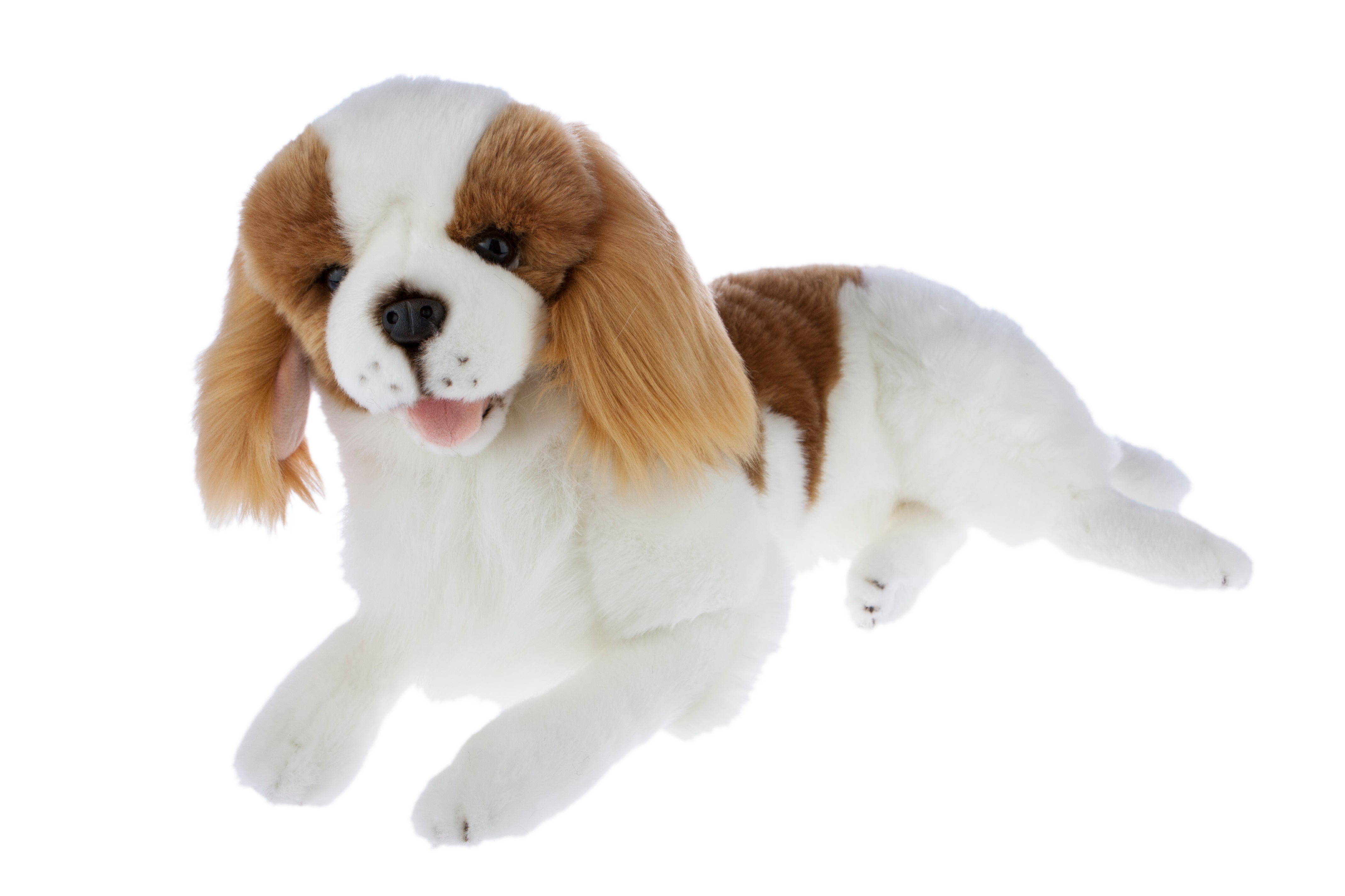 Izzy (King Charles - 40cm lying, brown)