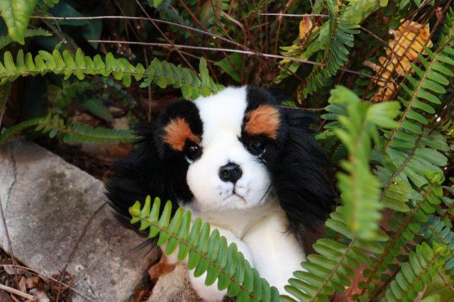 Alex (King Charles - 28cm floppy) – Bocchetta Plush Toys