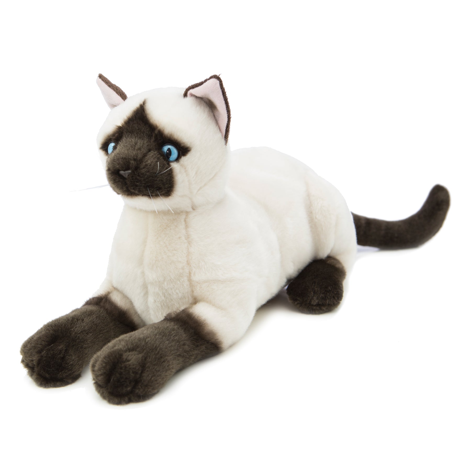 Amelia (Siamese Cat - 35cm crouching) – Bocchetta Plush Toys