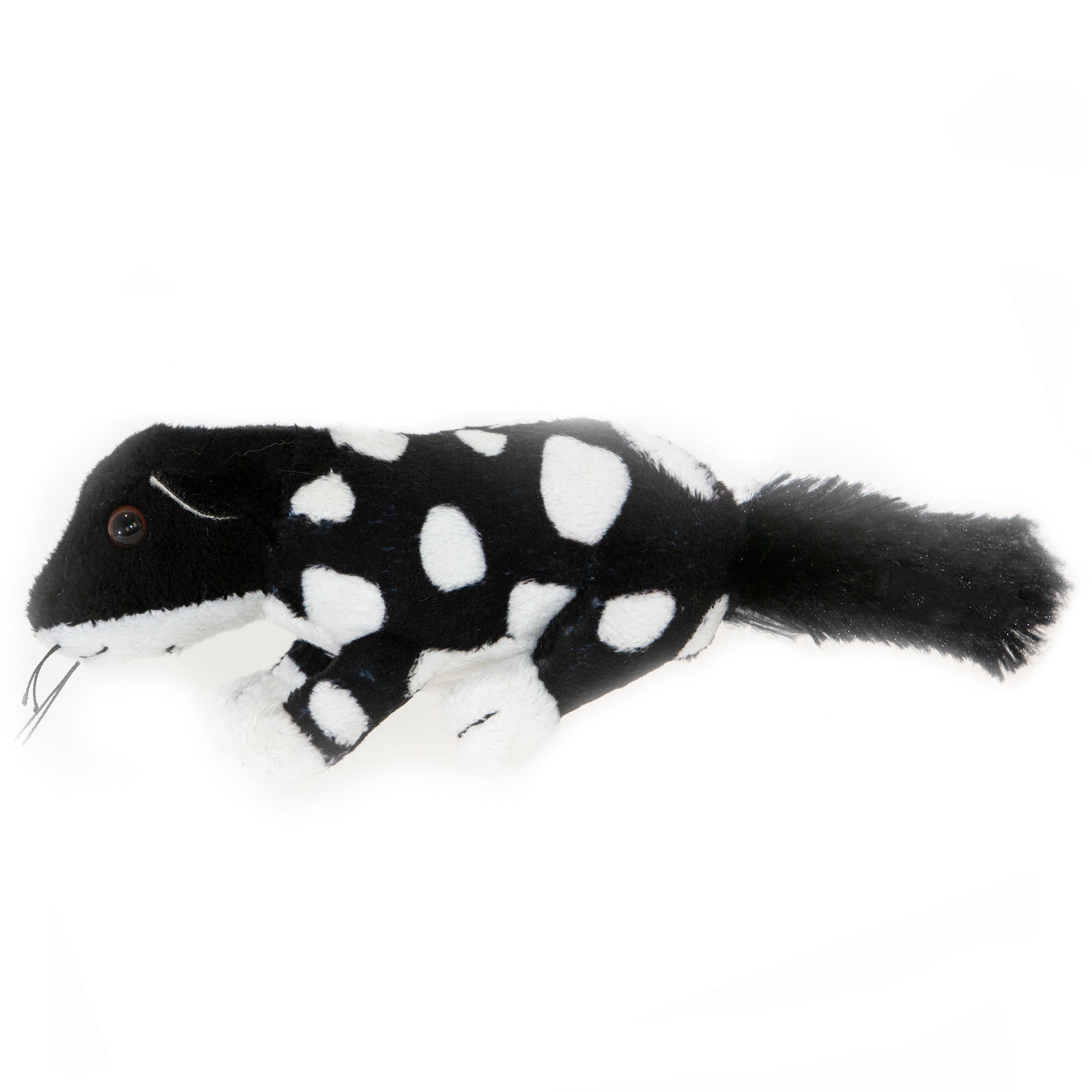 Mini Black Quoll (Mini Black Quoll - 13cm) – Bocchetta Plush Toys