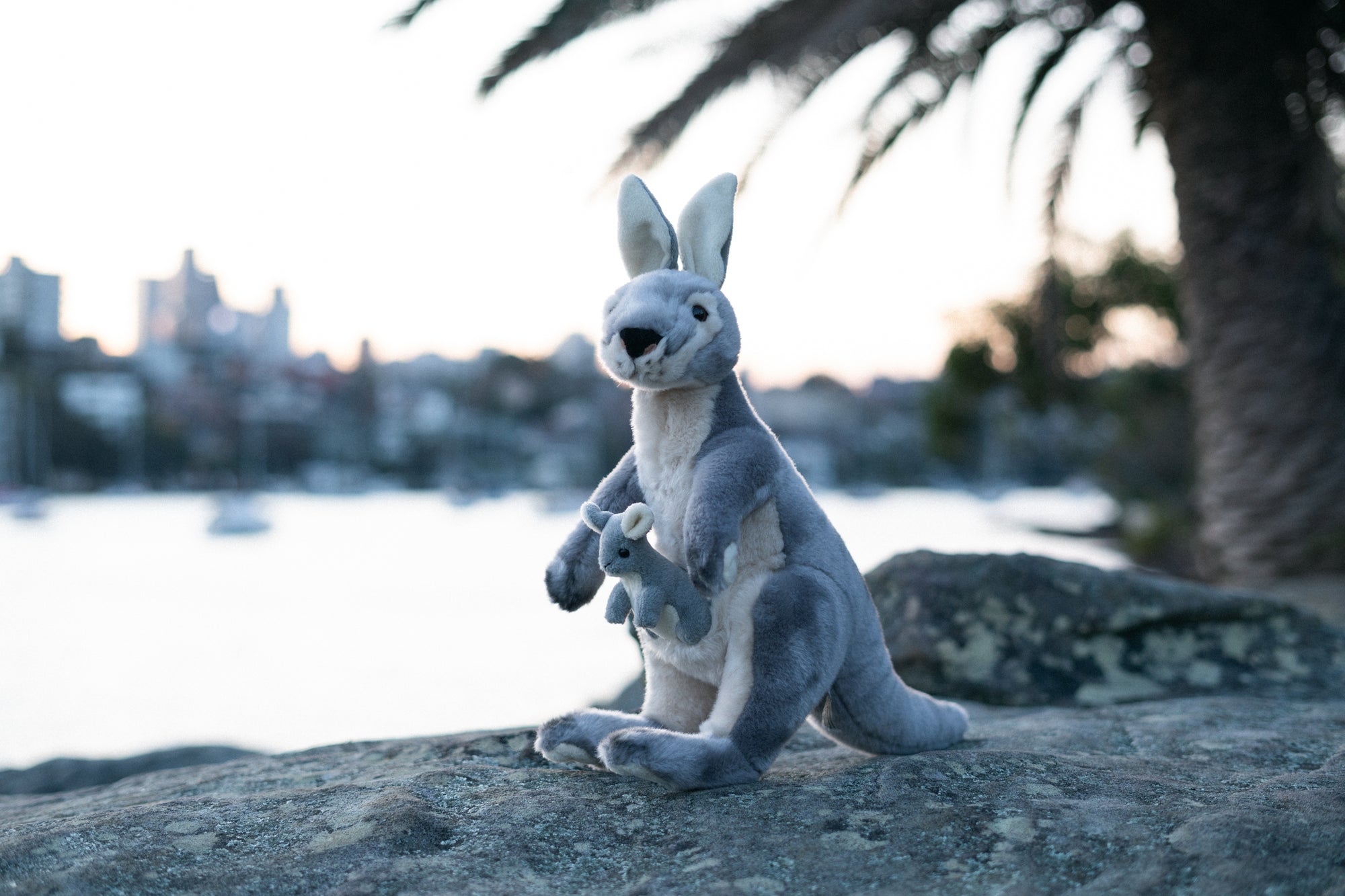 Bocchetta Plush Toys