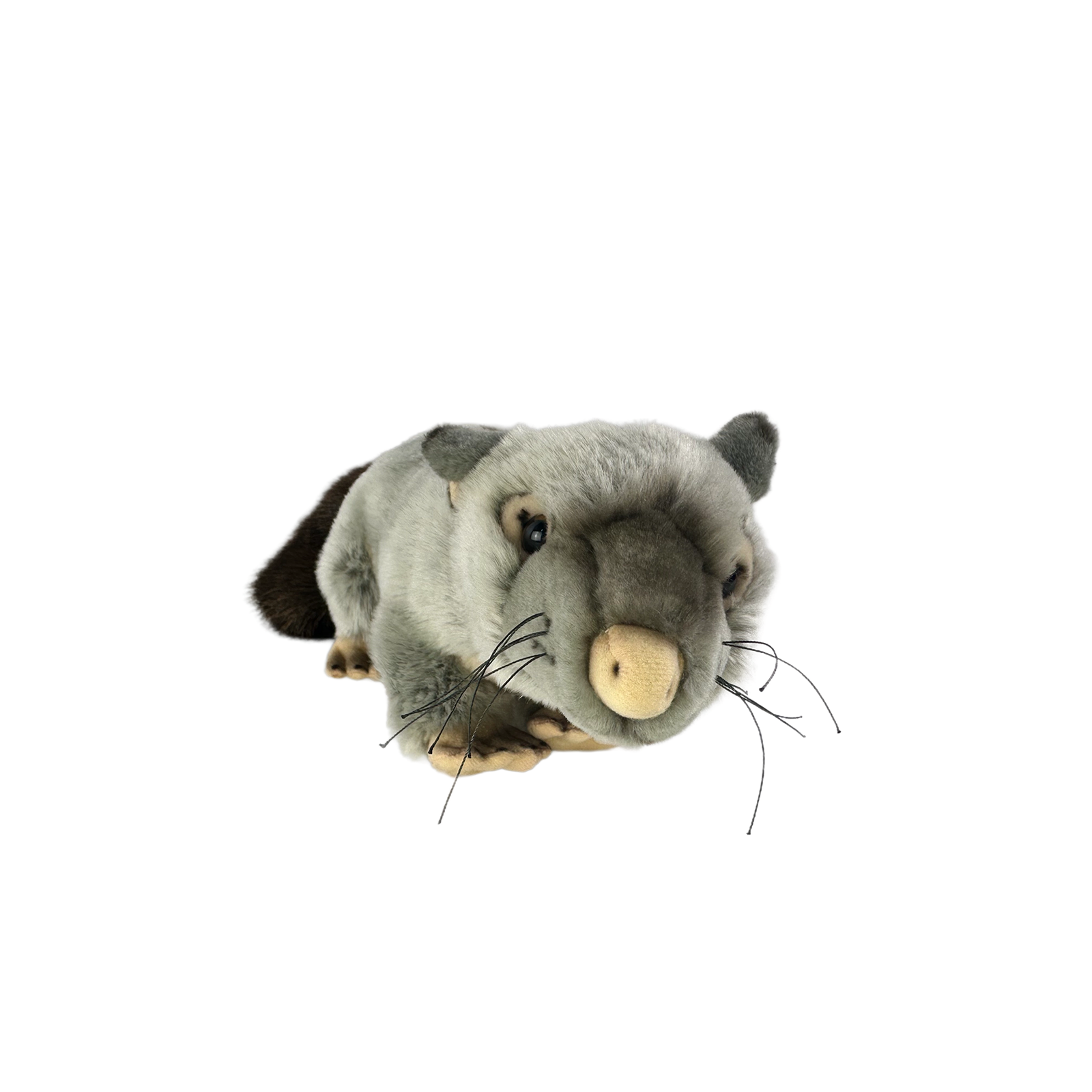 Zack (Brushtail Possum - 33cm) – Bocchetta Plush Toys