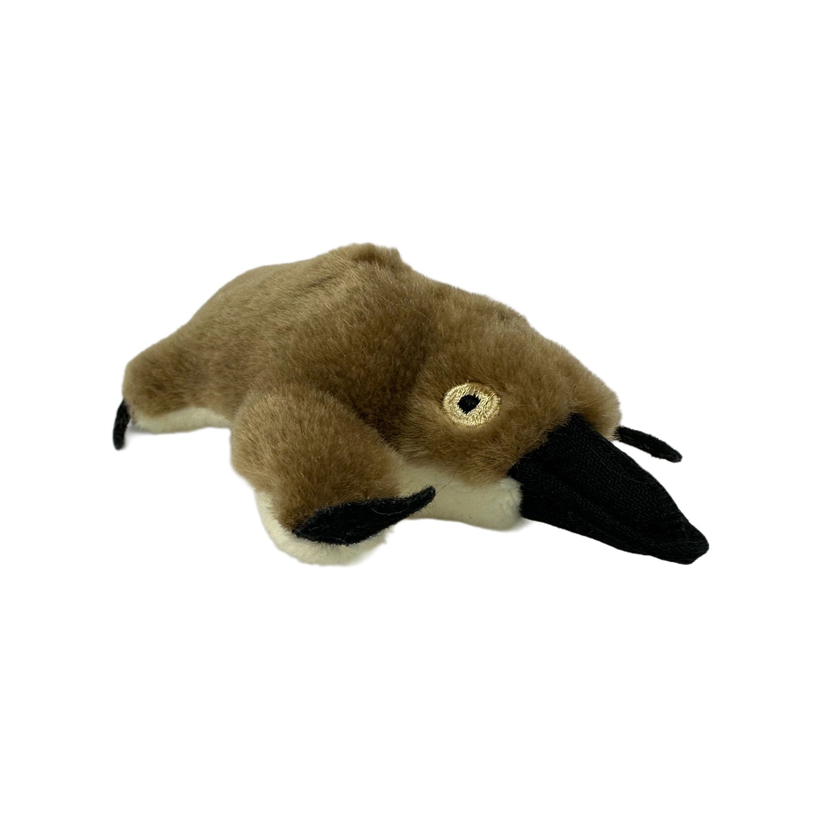 Mini Platypus (Mini platypus - 11cm) – Bocchetta Plush Toys